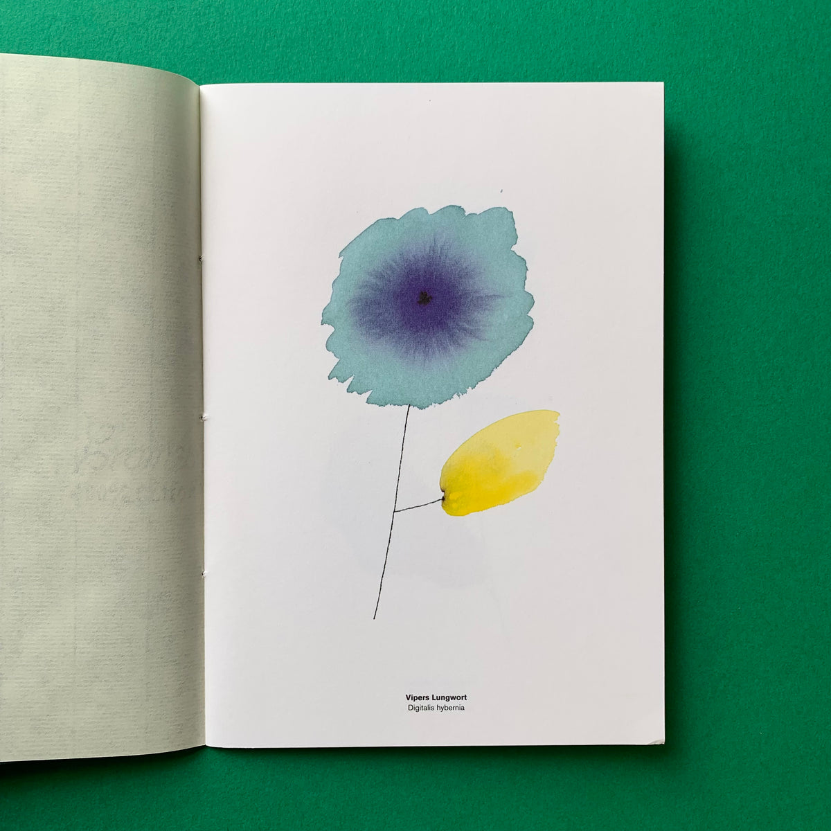 Wild Flowers (Alan Fletcher) – The Print Arkive