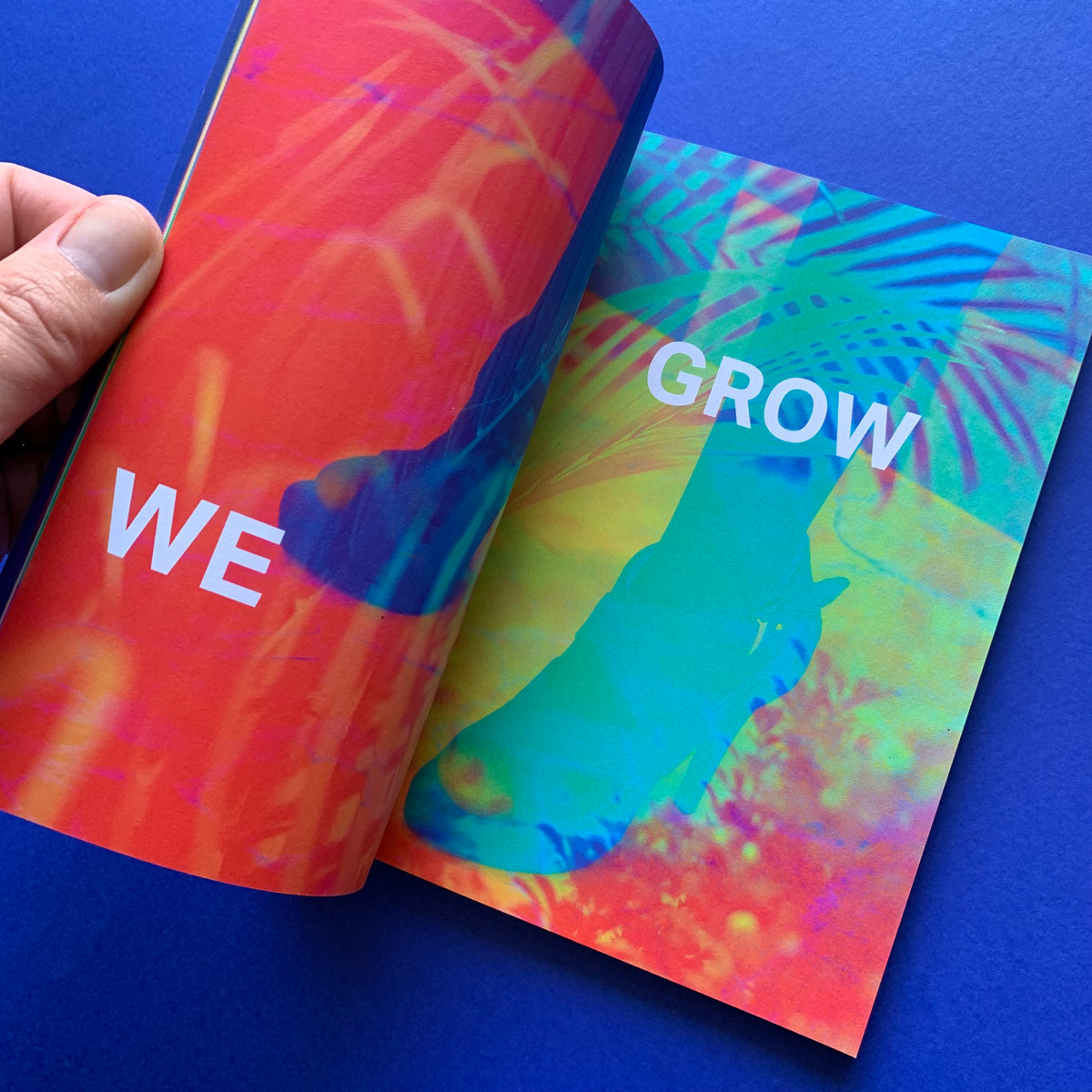 Ling Ling Brand Book (North) – The Print Arkive