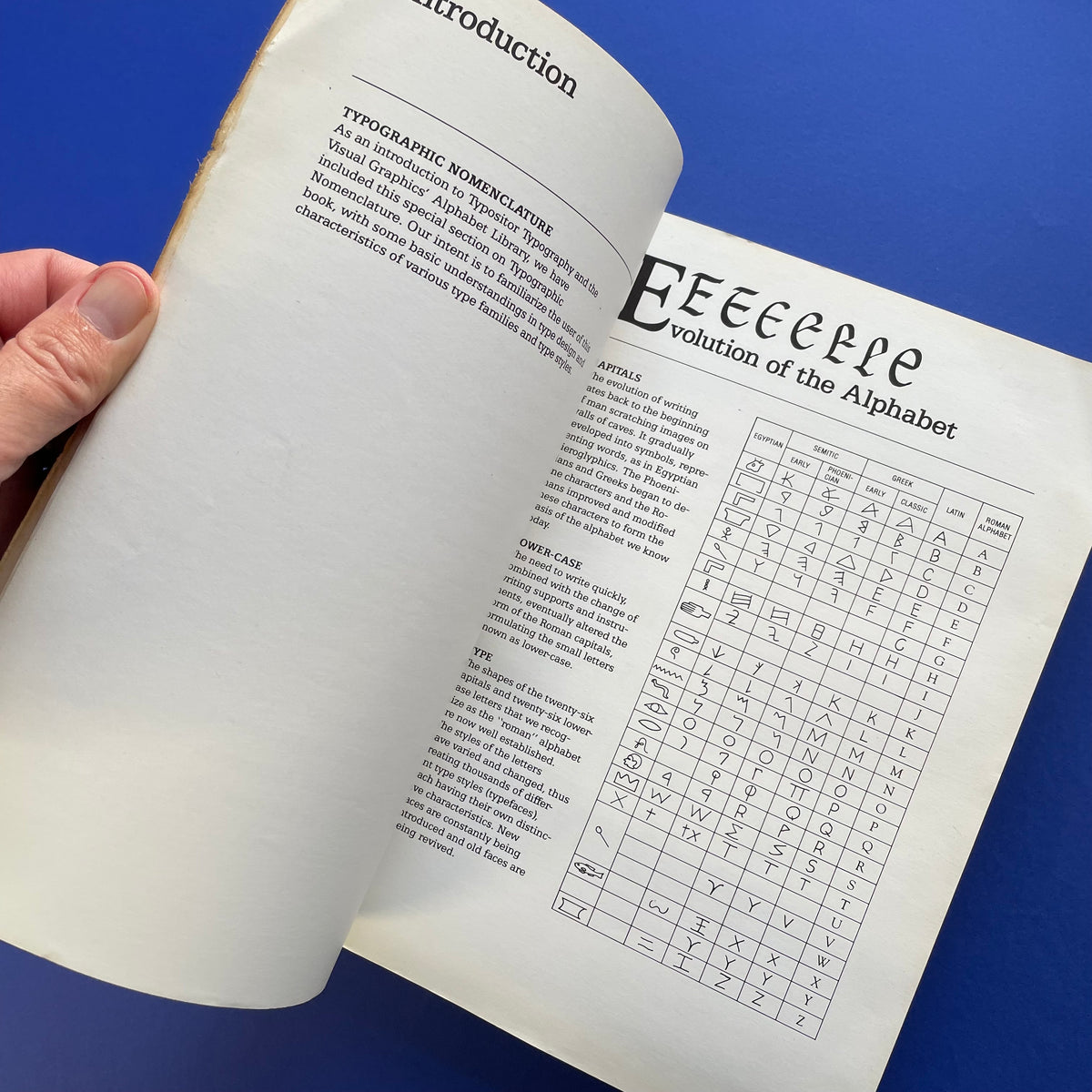 Visual Graphics: Alphabet Library – The Print Arkive