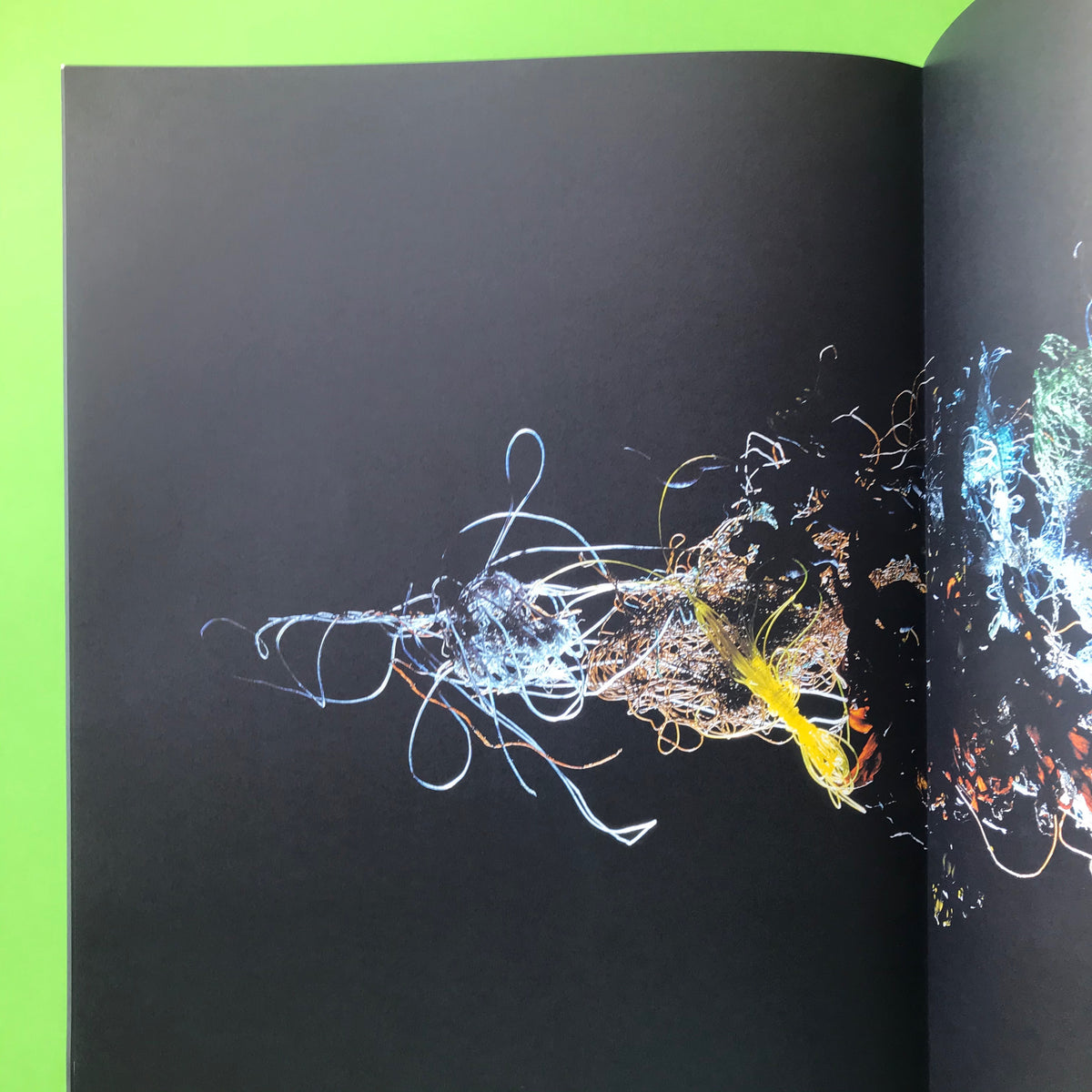 Naturalis x2 Lee Funnell (SEA Design) – The Print Arkive